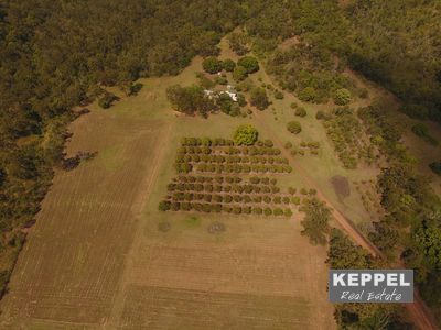 83 Acre Private Country Home with Mango Orchard - Keppel Real Estate